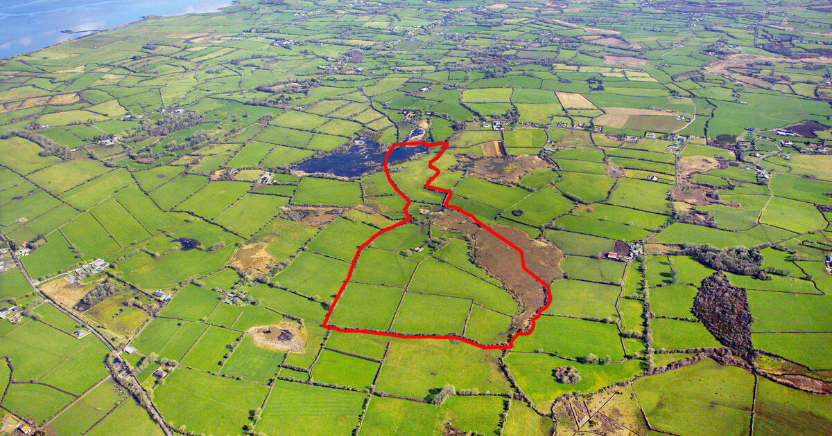 53-acre Limerick land makes 'satisfactory' €7k/acre at auction