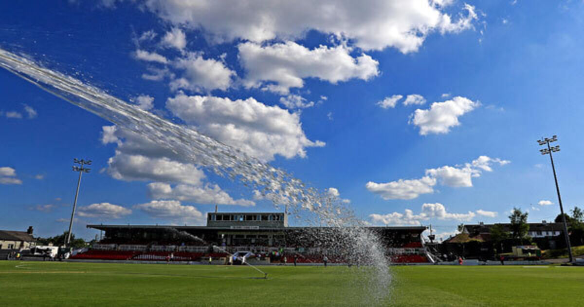 Bohemians fan admits pre-match melee