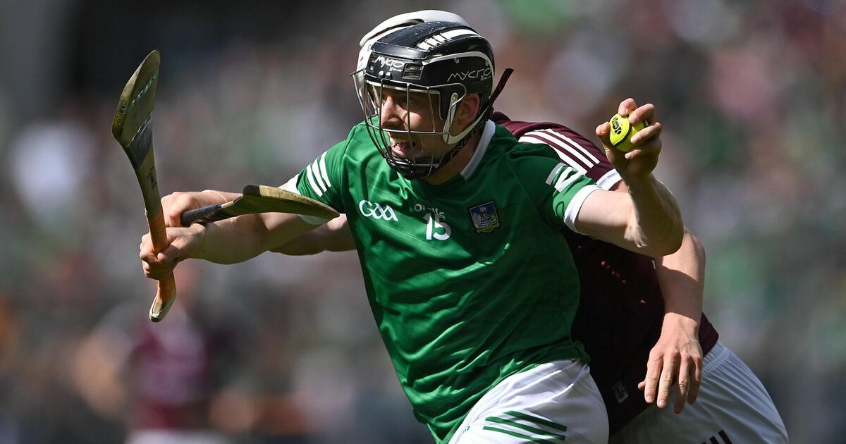 Limerick sharpshooter Mulcahy stays on board for 2024