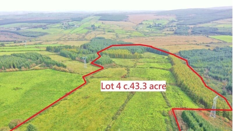 €7k/acre sought for 43 acre Kerry block