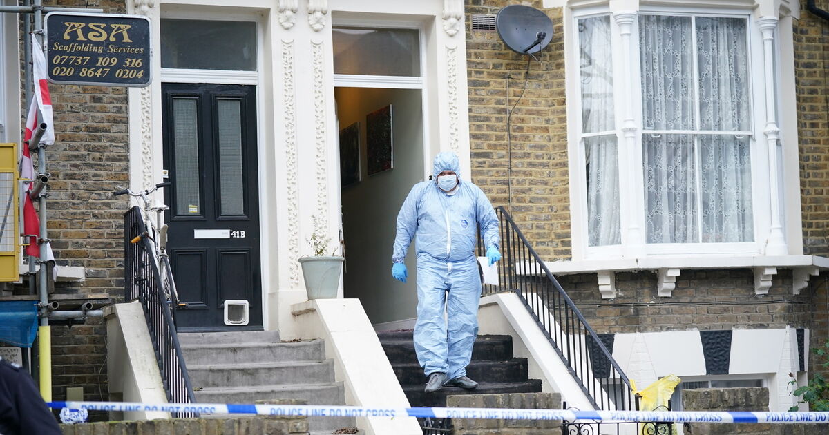 Son, 4, of Irish national stabbed to death by woman in London
