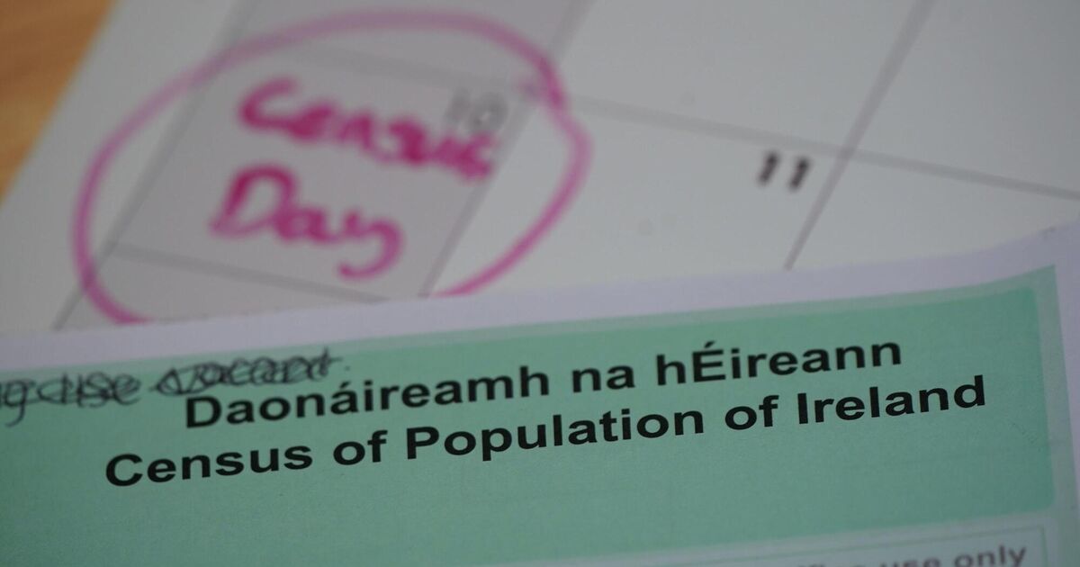 Eight things we learned about Ireland from Census 2022