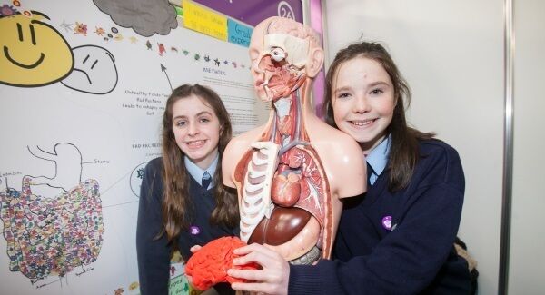 Meet some of this year's BT Young Scientist hopefuls