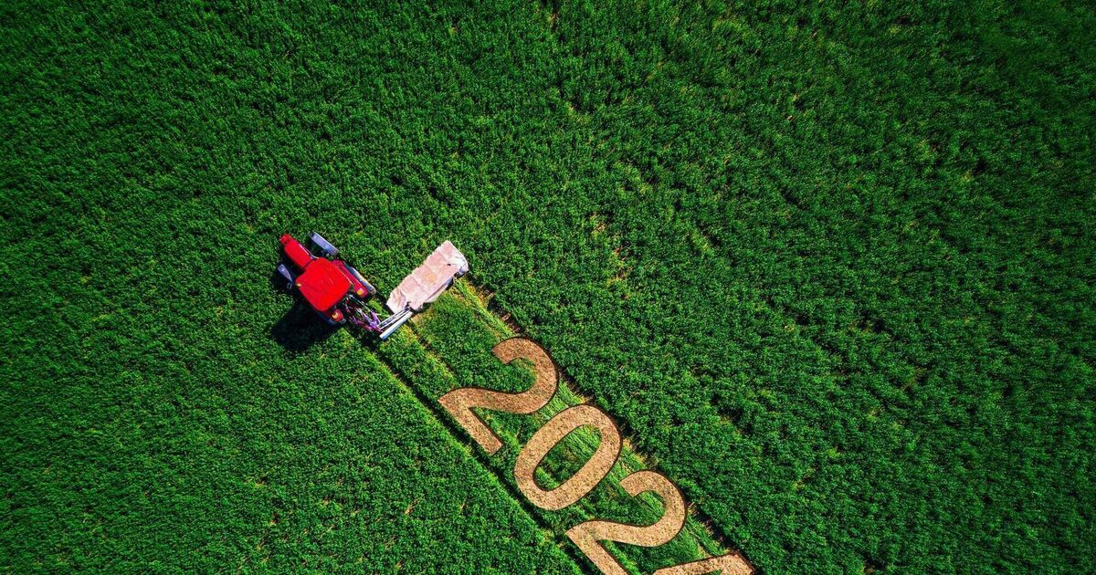 Brian Reidy: What was on my Christmas list?