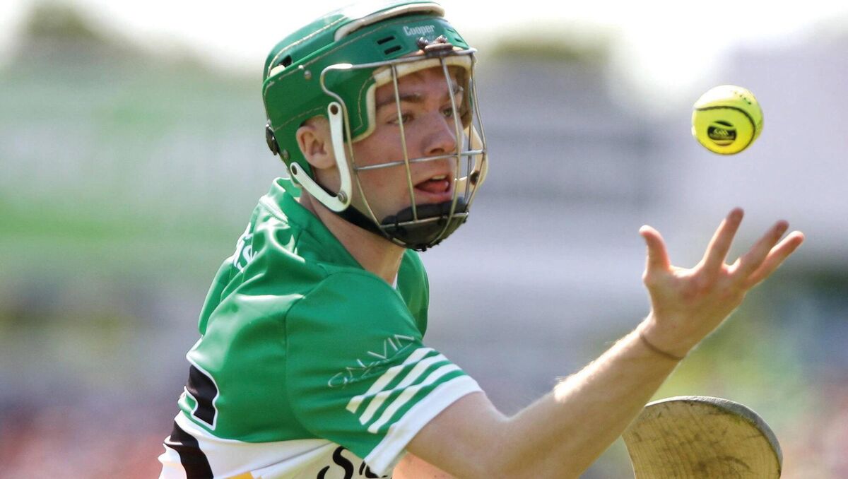 24 for 2024: Hurling's bright young things looking to make the ...