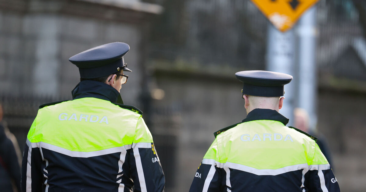 Gardaí out of action for 60,000 days due to injuries sustained while on ...