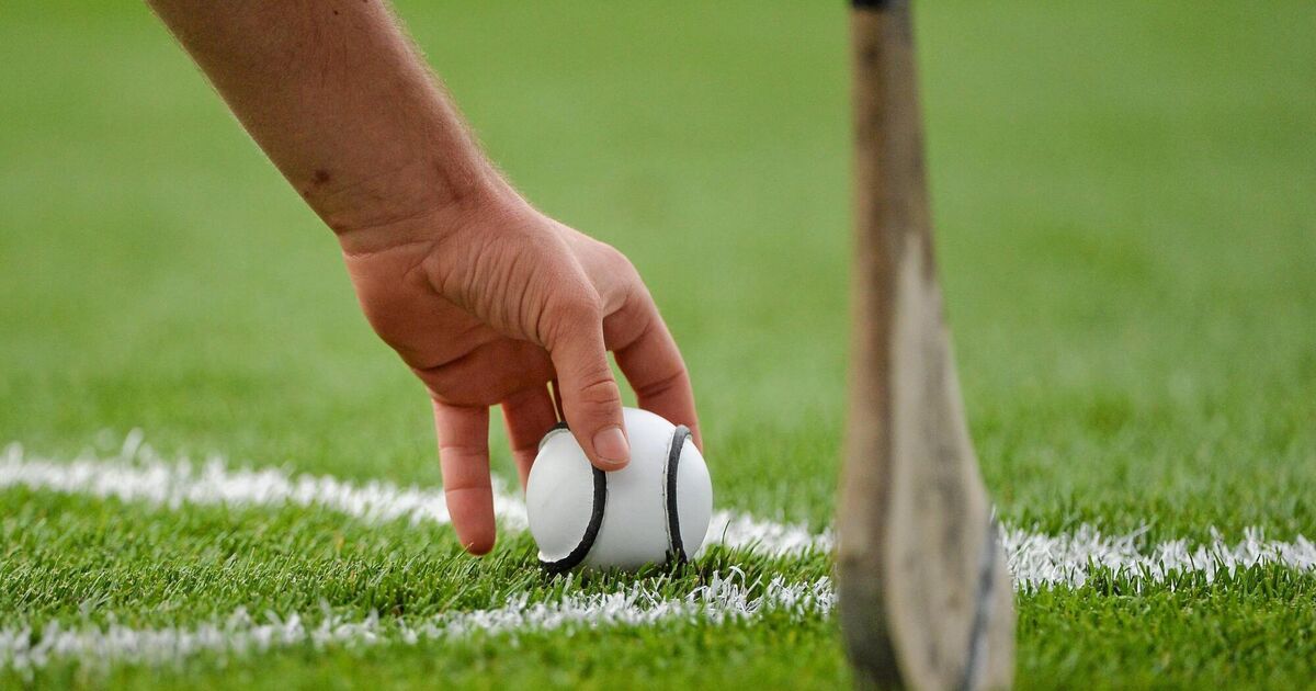 Favourites Drom Inch deliver to see off Roscrea and claim Tipp U21 title