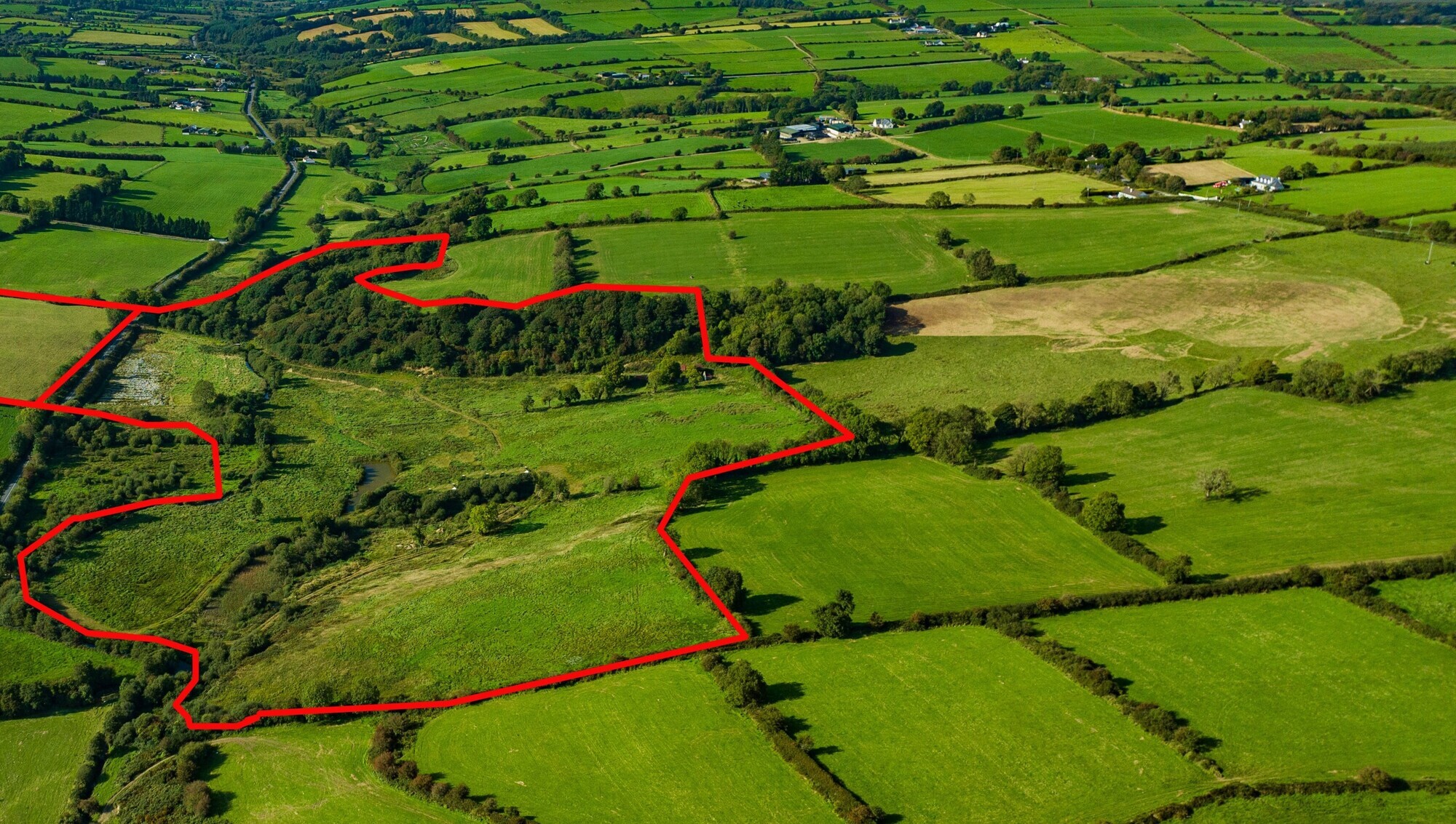 Tempting 38-acre north Cork farm at €6,000 an acre