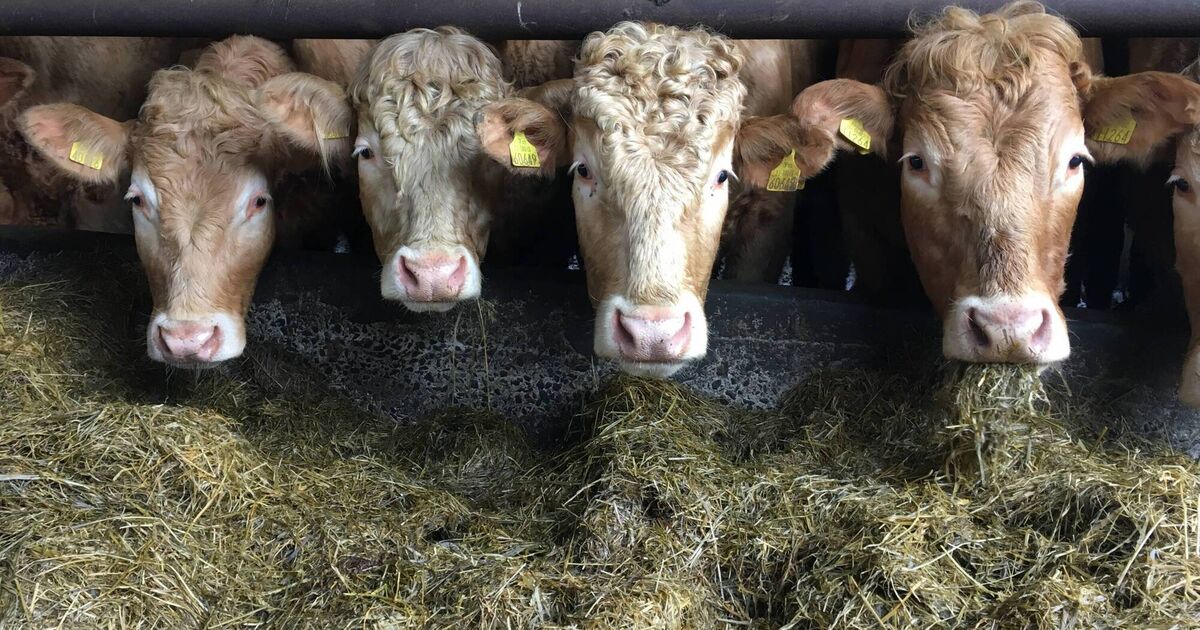 We must all treat slurry as an important nutrient and try to use it wisely