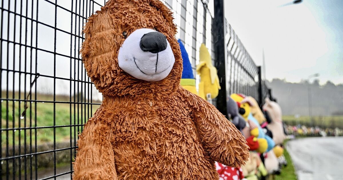 Discarded toys at Cork recycling depot getting a second chance to play