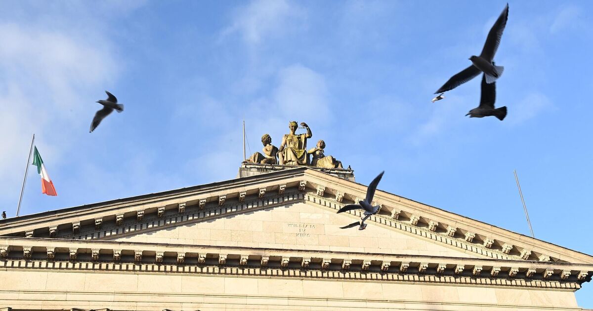 Is it time for Ireland to recognise and protect the rights of nature in ...