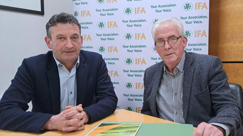 New IFA committee chairs elected as national AGM takes place this week