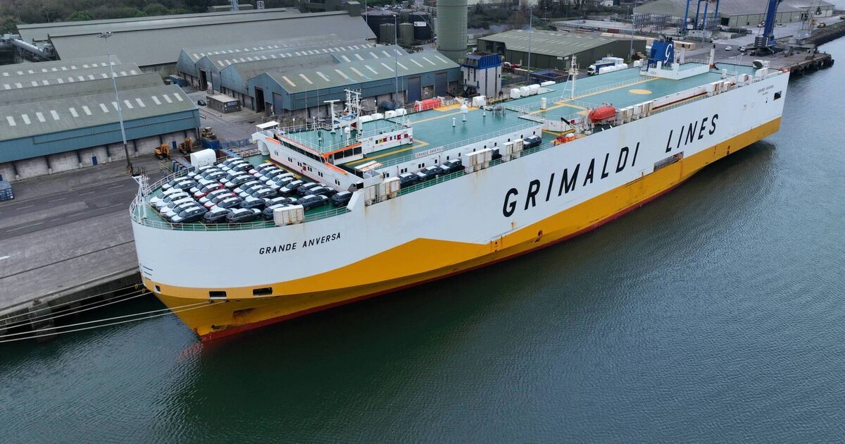 Cork port to look at building 6,000-space car storage facility amid ...