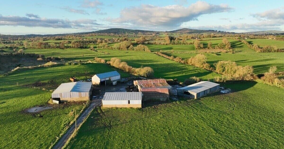 37-acre Carlow farm with outbuildings gaining interest