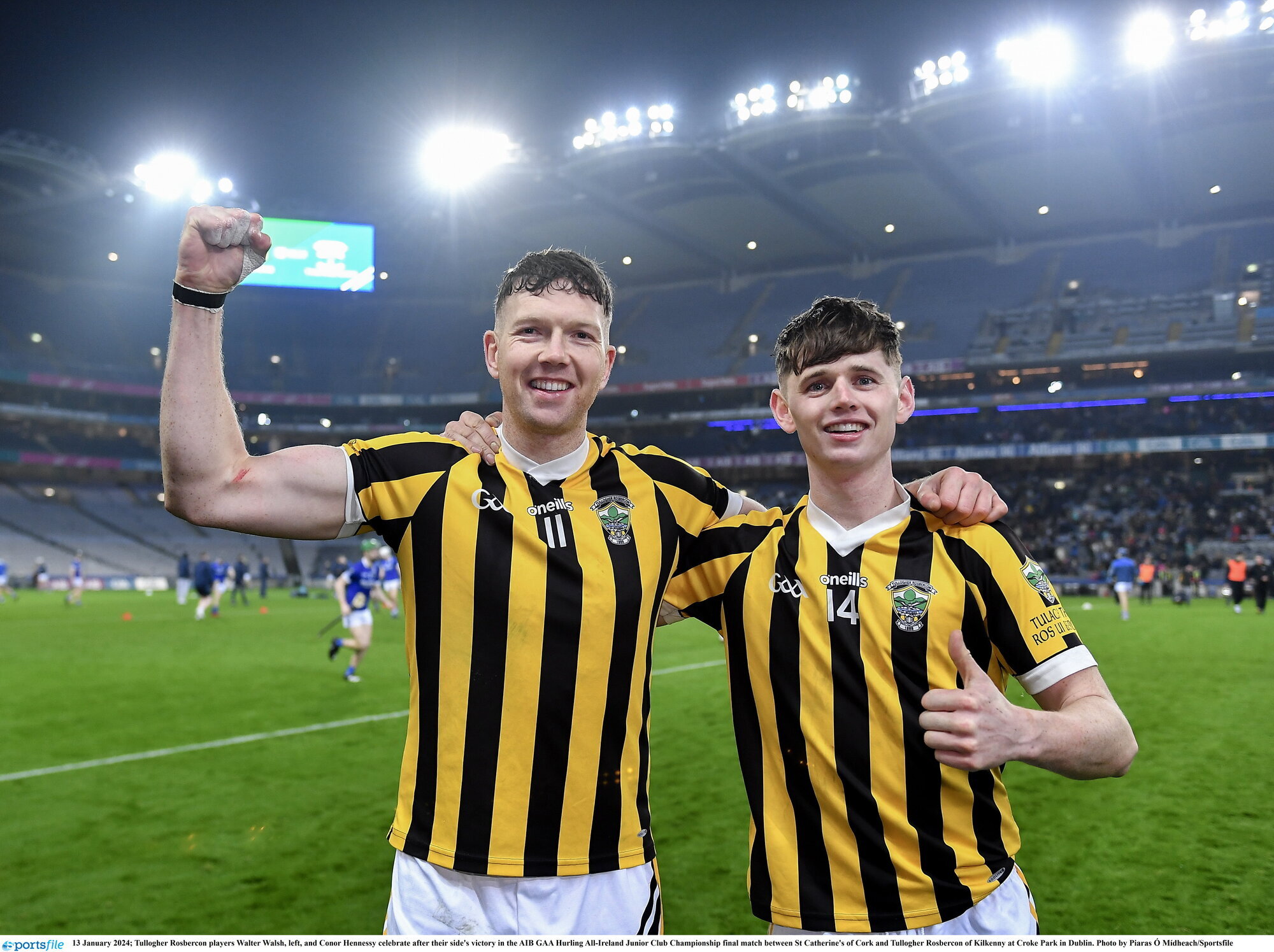 Tullogher Rosbercon masterful in Croke Park cruise