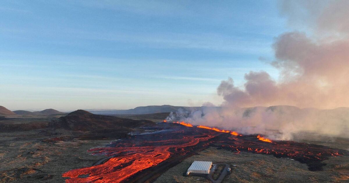 Watch: Icelandic Volcano erupts, spewing lava close to town of Grindavik