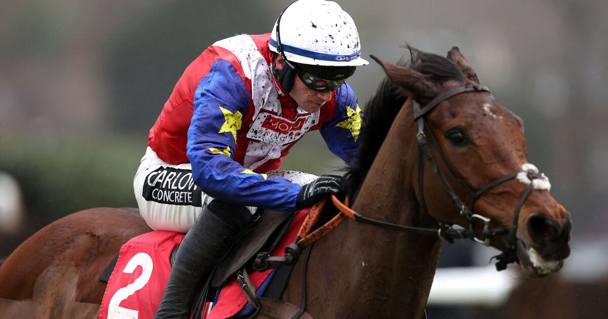 Harry Fry expects Love Envoi 'to take a big step forward'