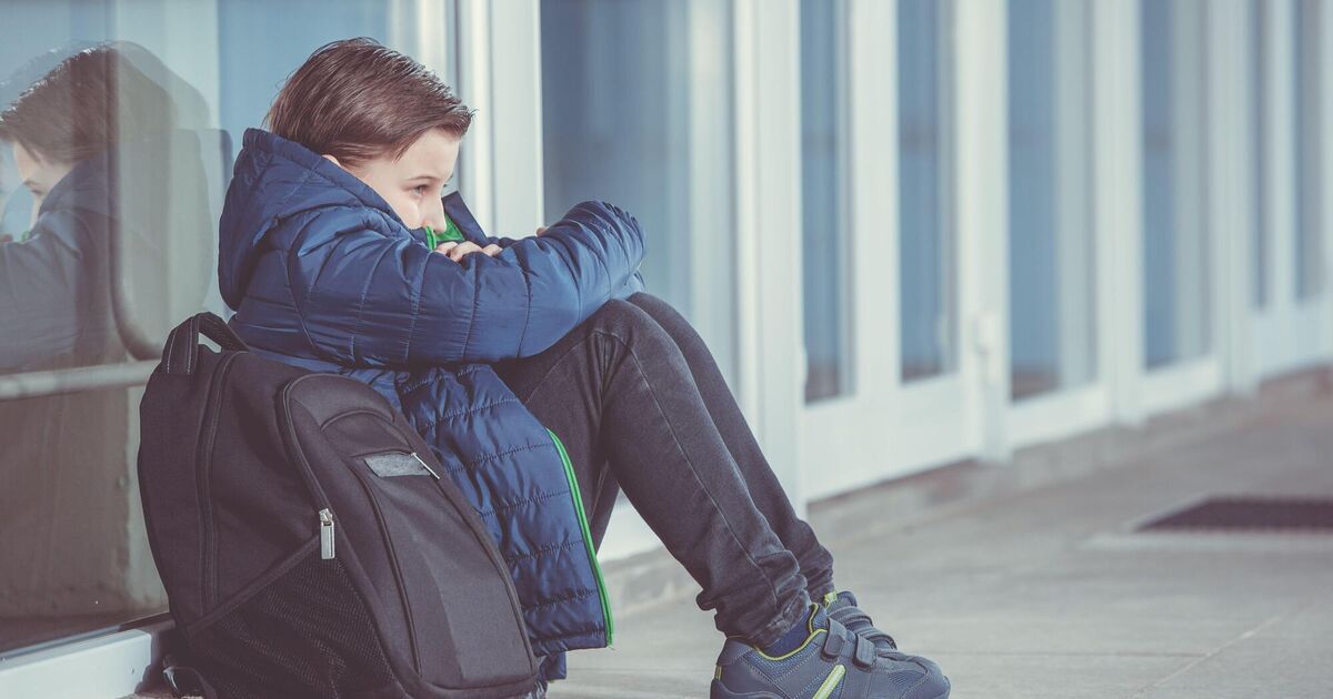 Oireachtas committee to hear of 'largely non-existent' mental health ...