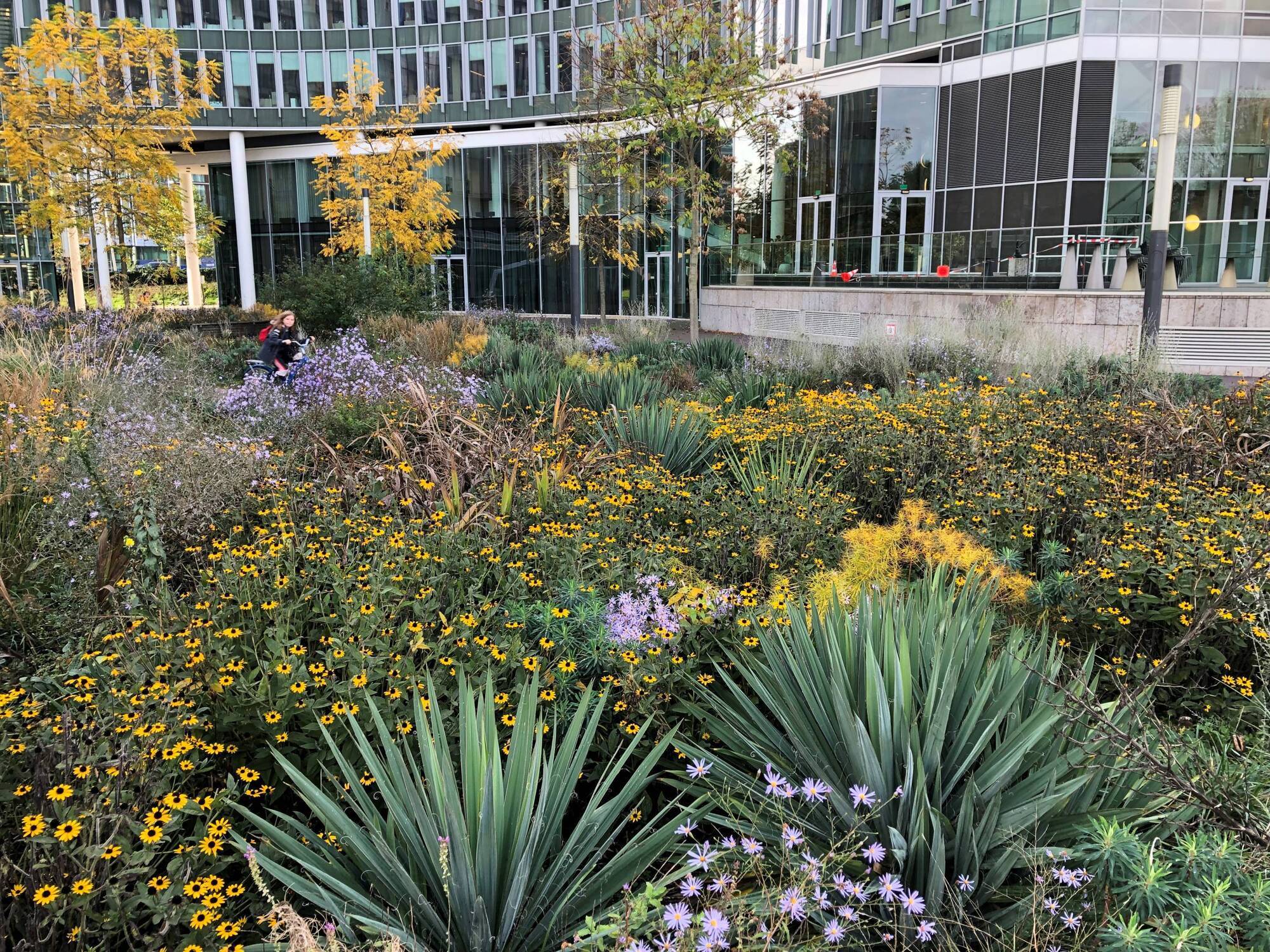 Peter Dowdall: Let's innovate to prioritise our green spaces