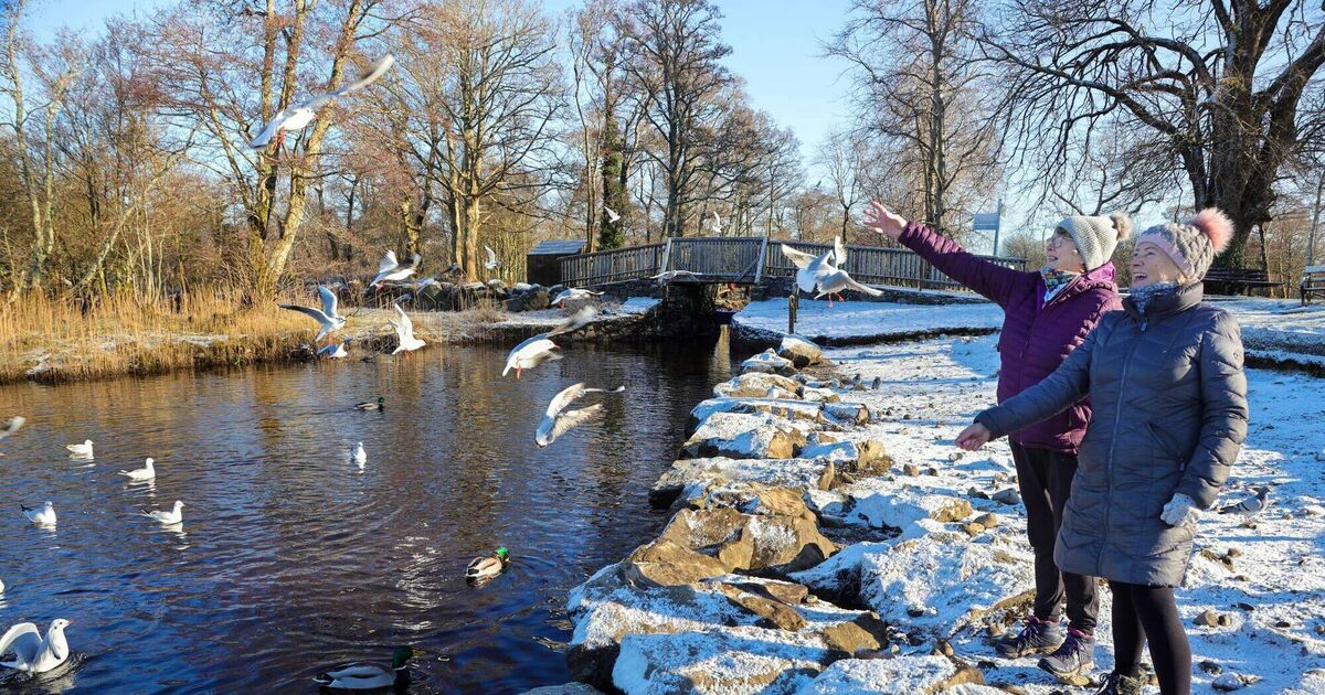 Watch: Winter scenes in Killarney National Park