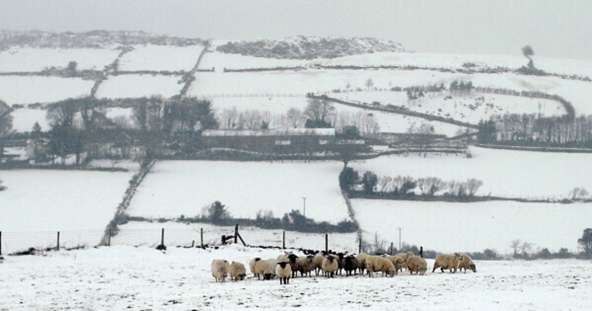 Gusts of 110km/h to accompany wintry showers tonight