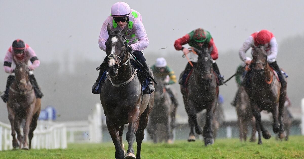 Paul Townend and Willie Mullins run riot at Fairyhouse