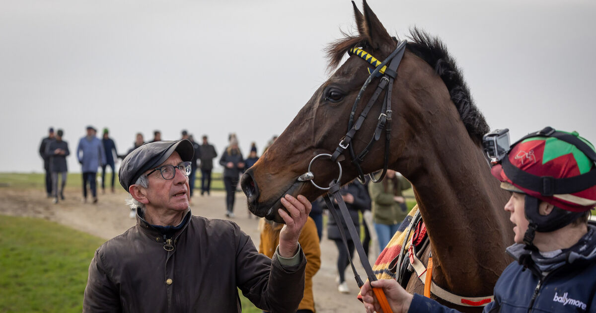 Martin Brassil: I never thought I'd have a Gold Cup horse