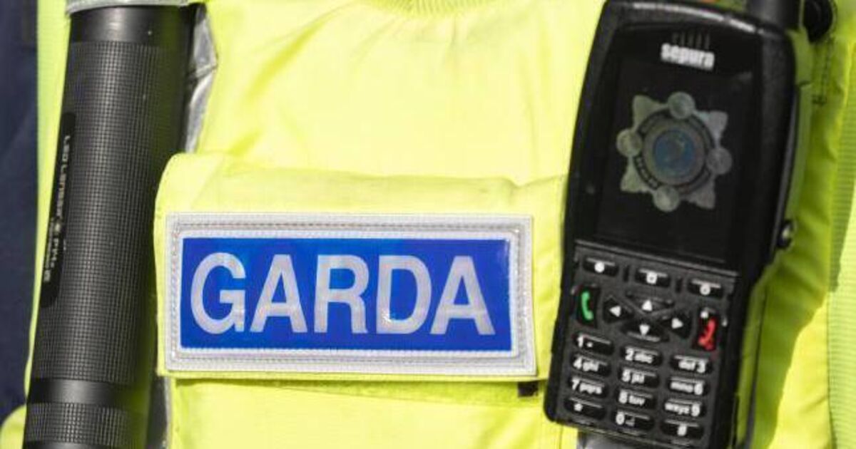 Drunk Corkman tore sleeve off garda's jacket after 'red mist descended'