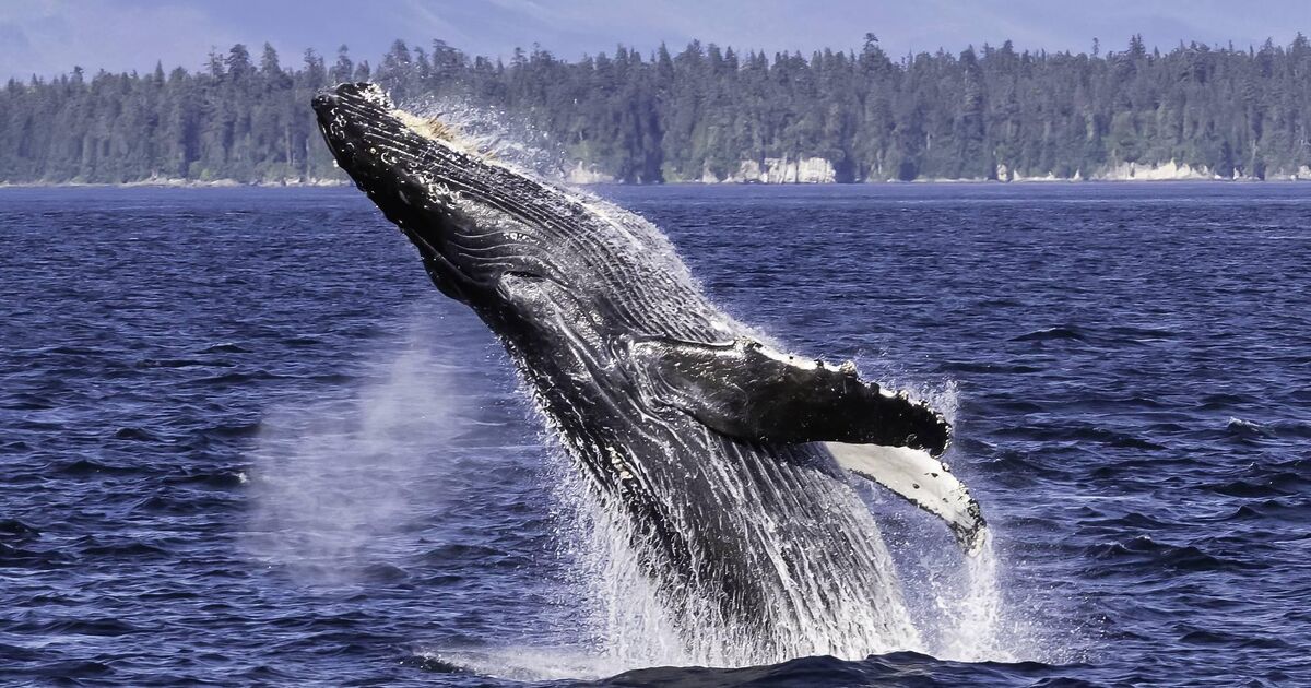 Take a break together: 10 tremendous couples' getaways for 2024