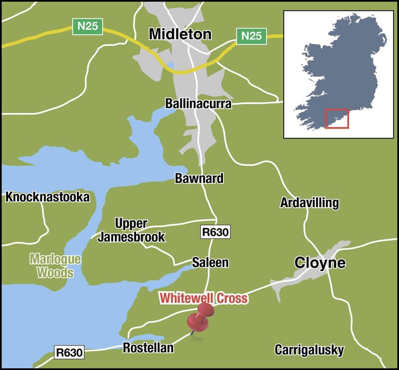 Gardaí set to launch murder probe pending autopsy results of remains ...