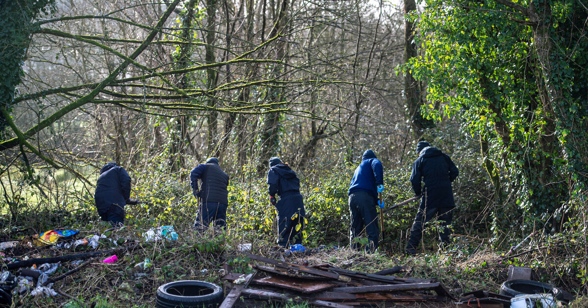 Dogged detective work and specially trained cadaver dog key to Cork ...