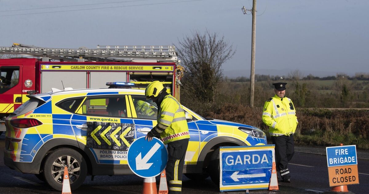 Watch: Fatal Carlow road crash claims three lives