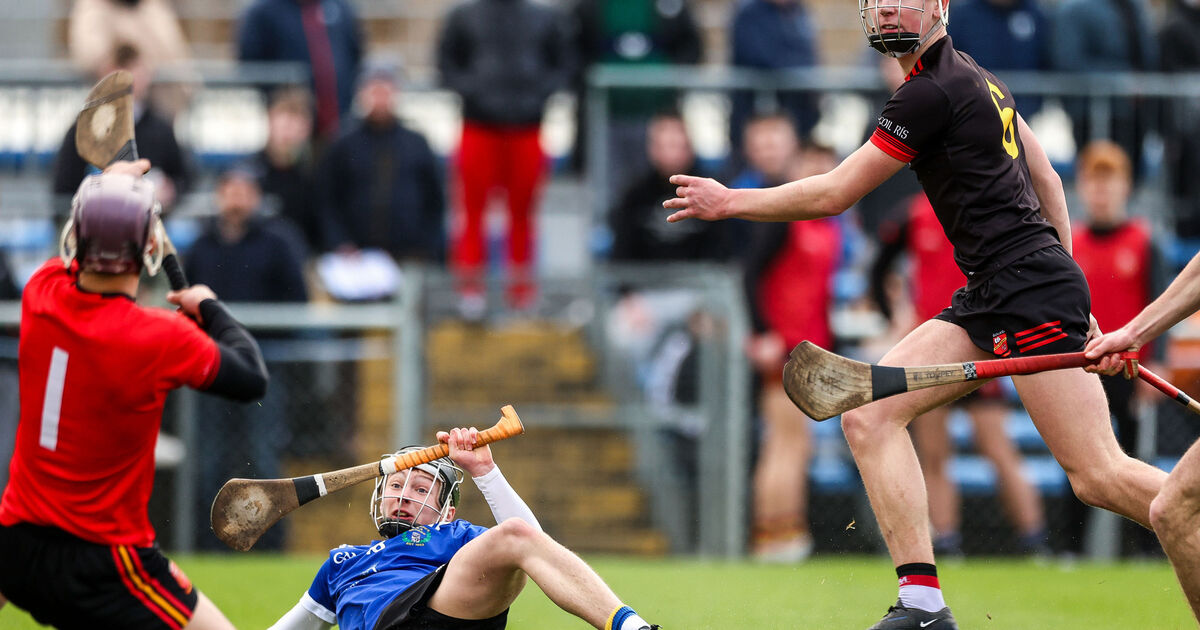 Hoolan the hero as late, late goal ushers in Harty history for Nenagh CBS