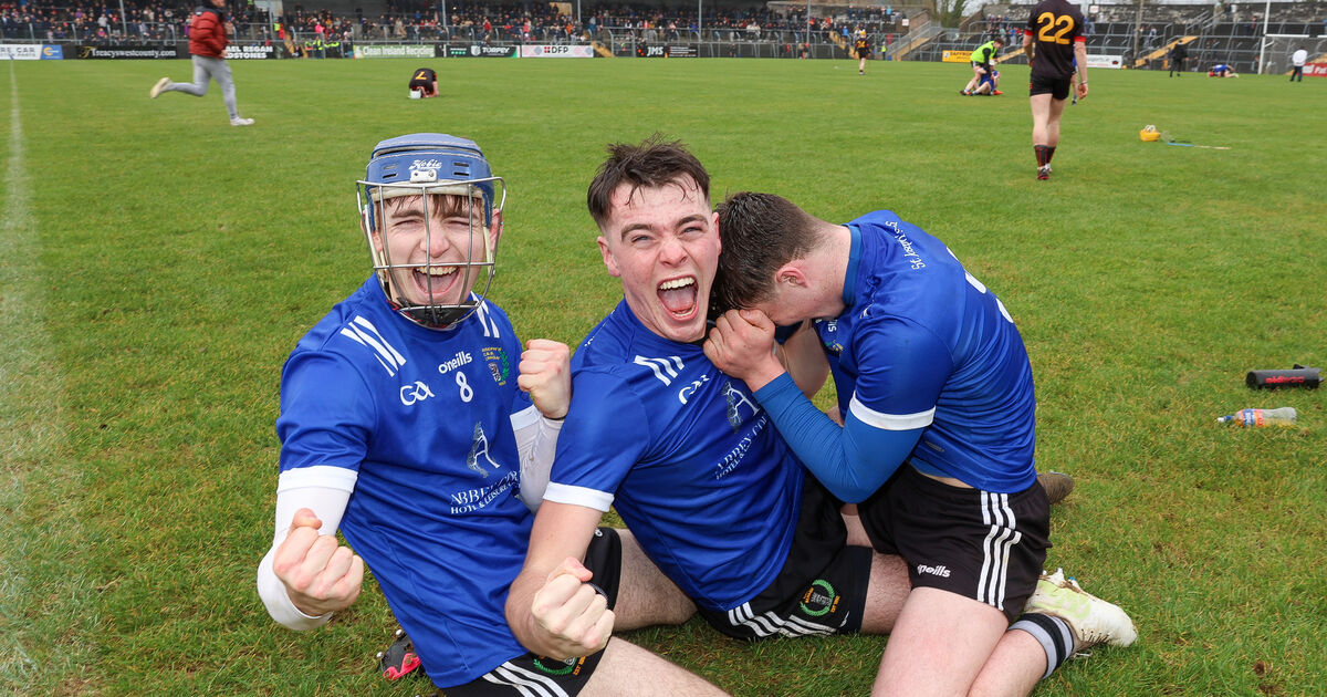 Harty Cup's revolution years roll on as Nenagh CBS clinch first title ...