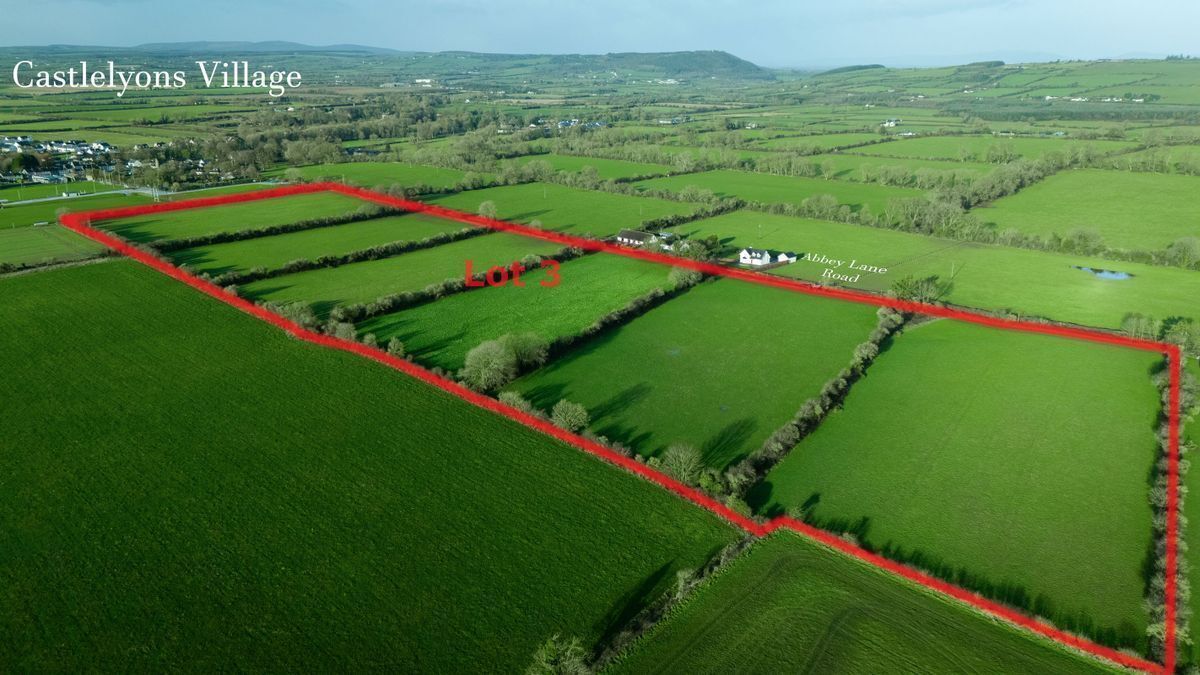 69-acre East Cork farm for auction with €20k/acre guide