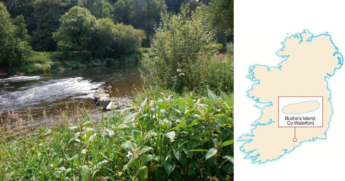 Islands of Ireland: Wade to the Waterford island 'built' by Kerry rain