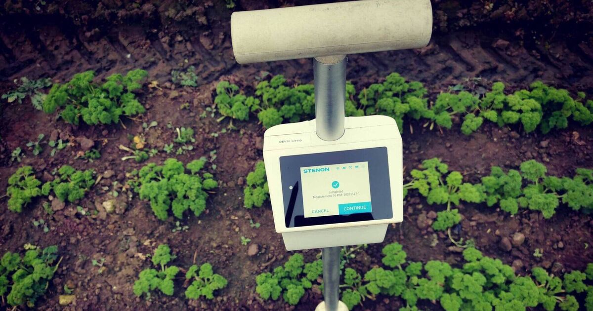Portable sensor tech offers in-soil analysis