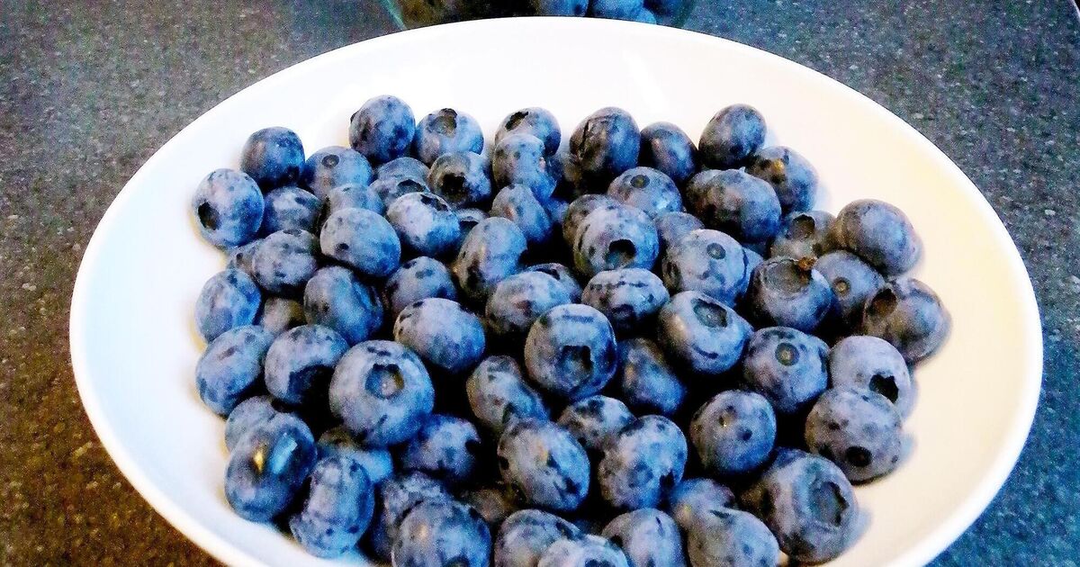 Why blueberries are blue — scientists have the answer