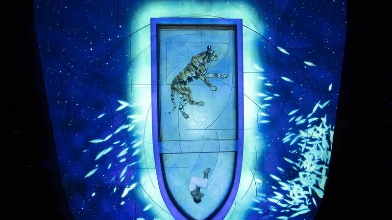 Behind the scenes on the Life of Pi stage show that's coming to Ireland