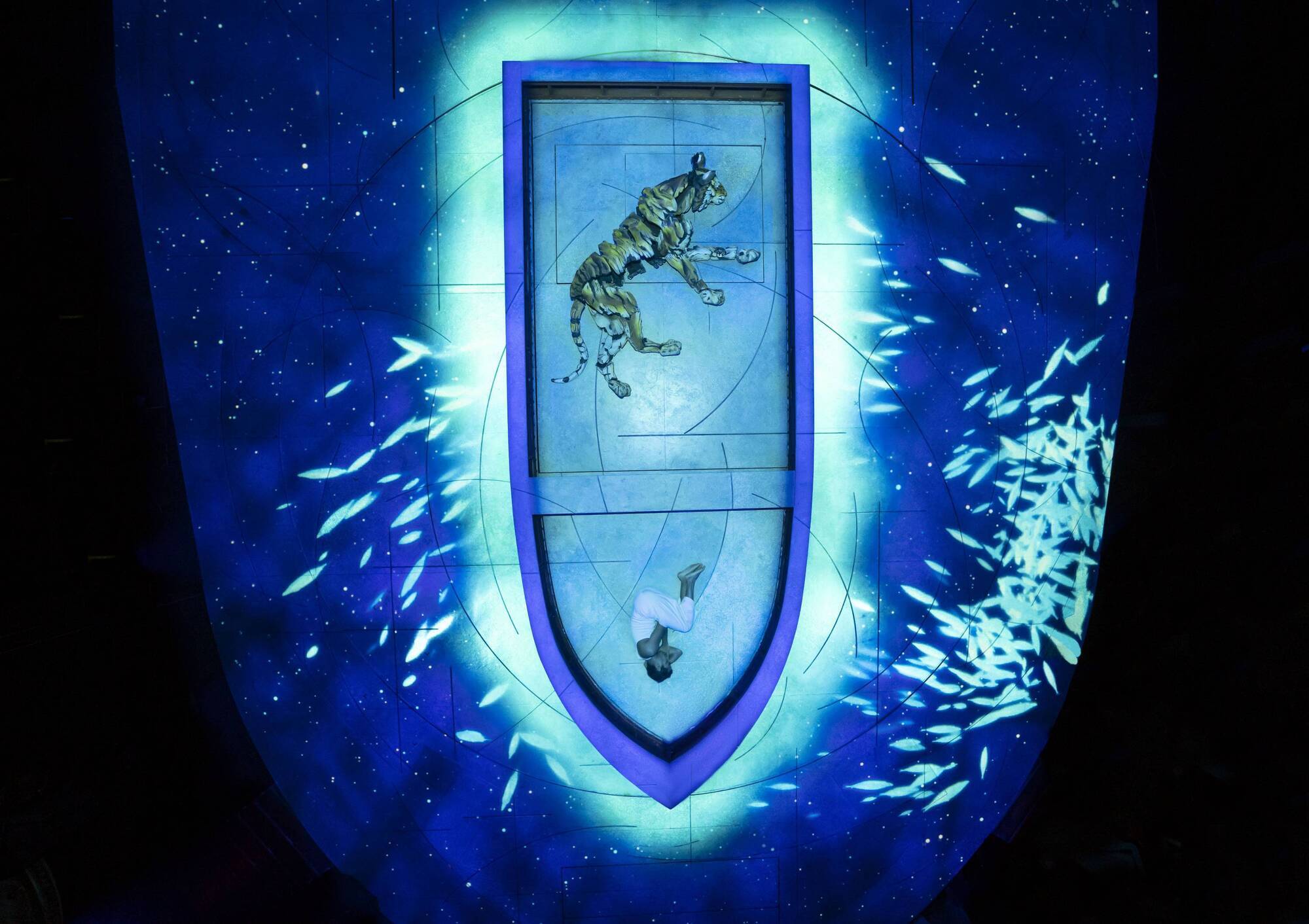 Behind the scenes on the Life of Pi stage show that's coming to Ireland