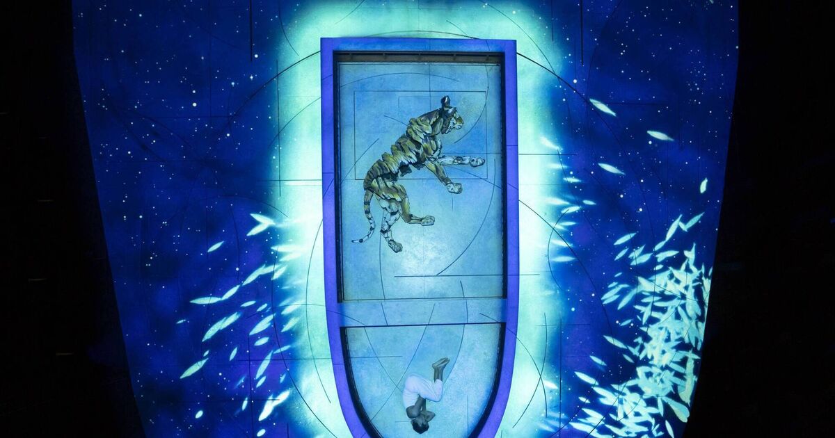 Behind the scenes on the Life of Pi stage show that's coming to Ireland
