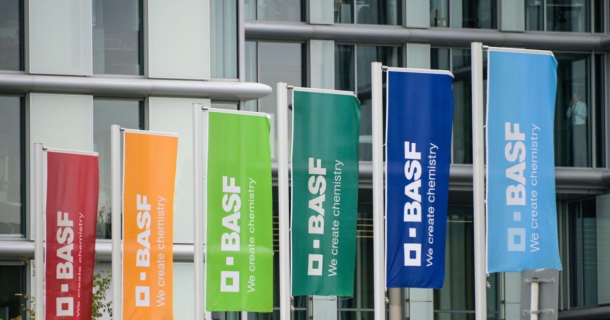 BASF sells stakes in two China ventures after reports of human rights ...