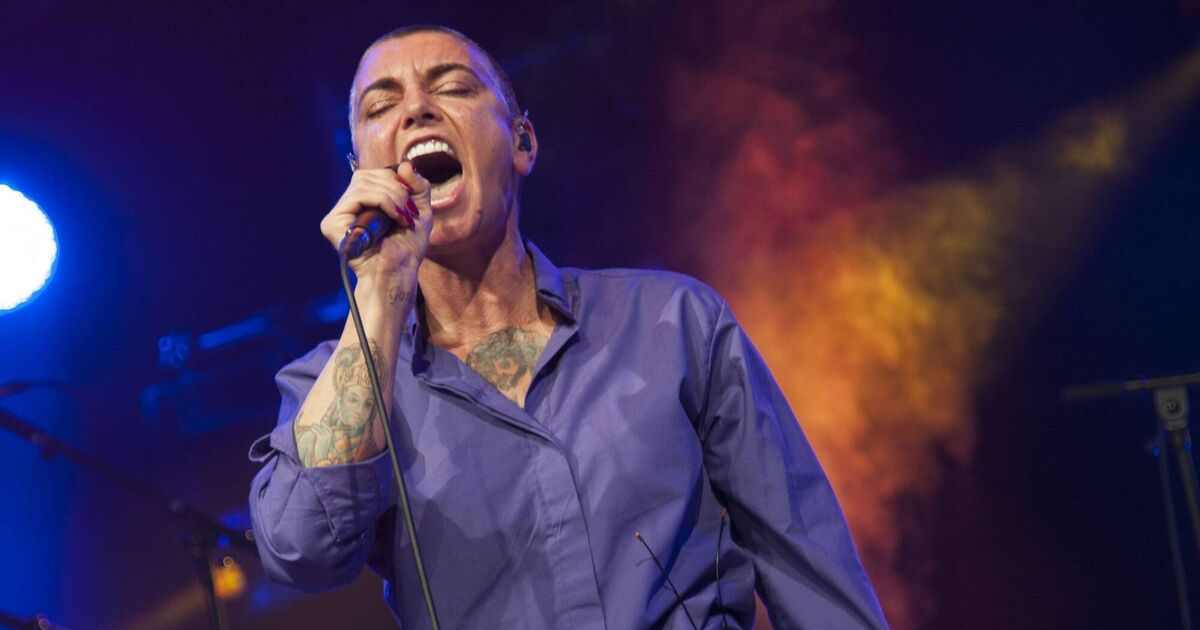 Sinéad O'Connor among Rock & Roll Hall of Fame nominees