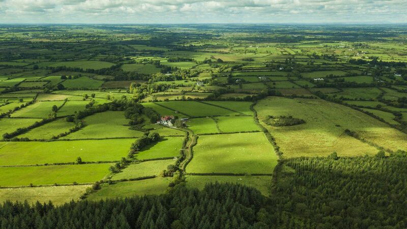 Native Woodland Conservation Scheme launched