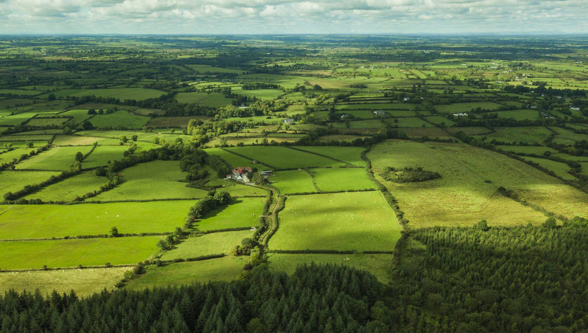 Native Woodland Conservation Scheme launched