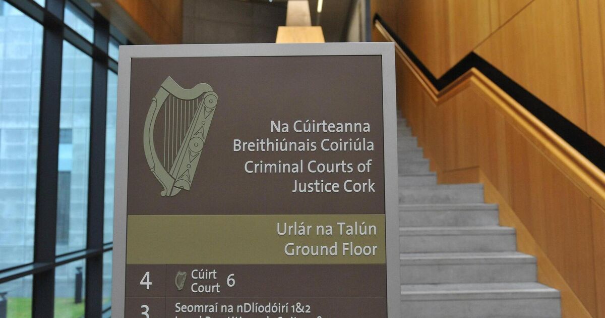 Cork woman who stabbed another woman 14 times with screwdriver is jailed