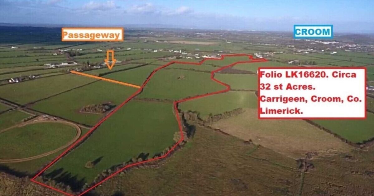 €14k an acre guide on 32-acre Limerick farm coming for auction