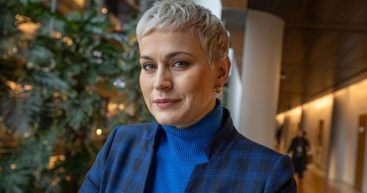 Sarah Harte: Parties must do much more to address treatment of politicians