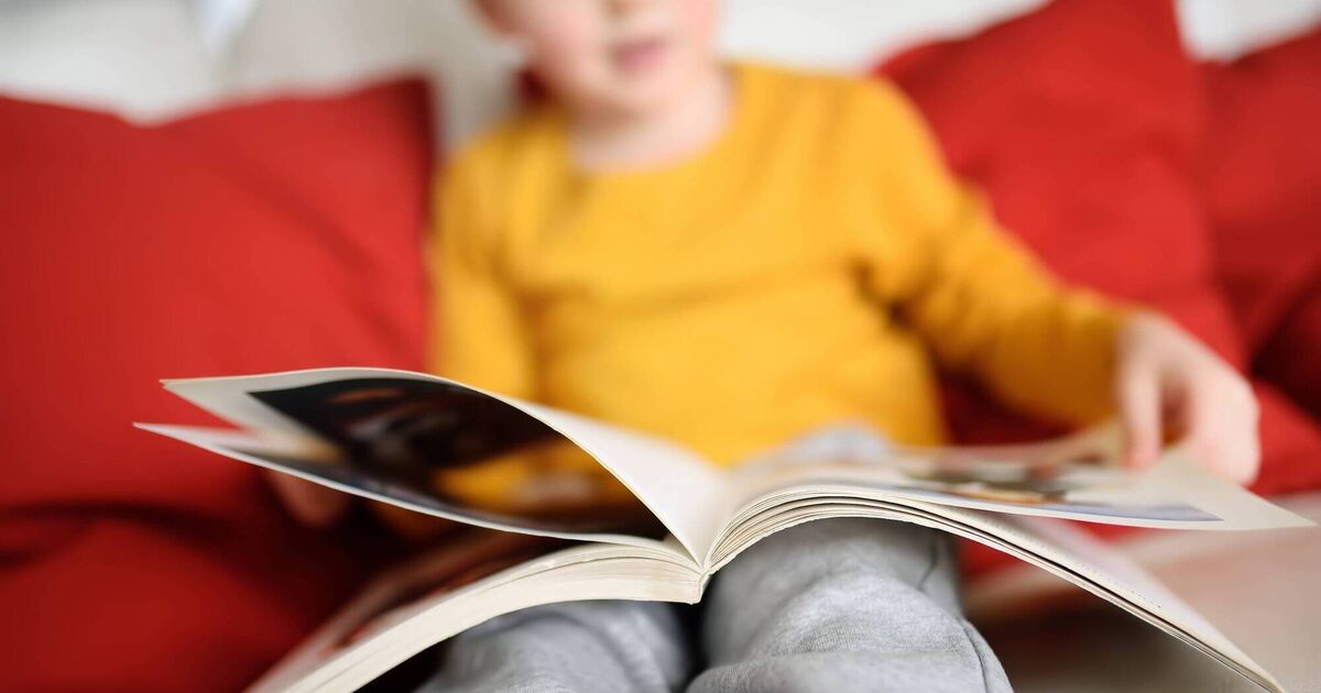 Children's book reviews: 12 books for February with Children's Book Ireland