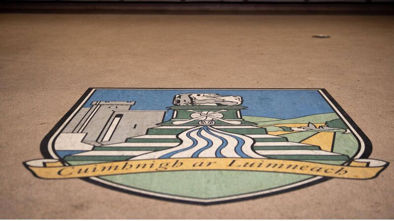 Limerick GAA eyes 95 acres of Patrickswell land to develop Centre of ...